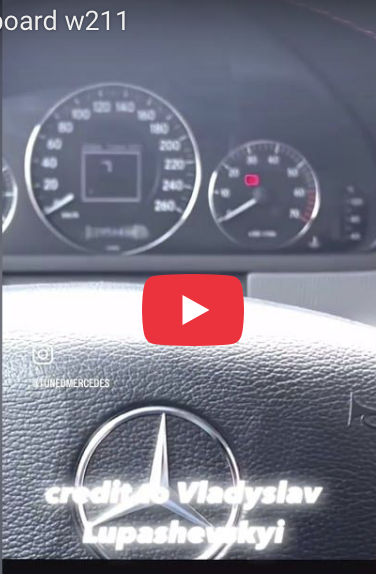 Snake on W211 Mercedes Dashboard - TunedMercedes
